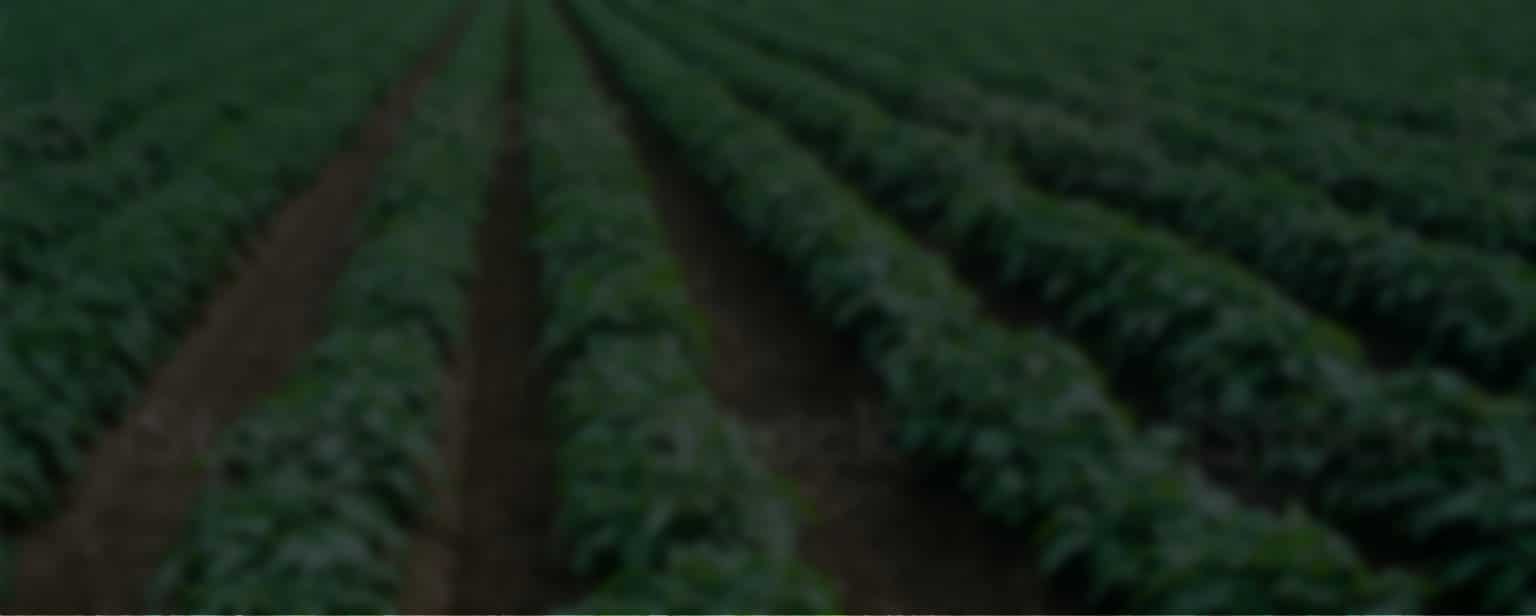 Harvest Eye: Advanced Crop Insights for Precision Agriculture