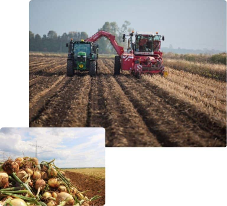 Harvest Eye: Advanced Crop Insights for Precision Agriculture