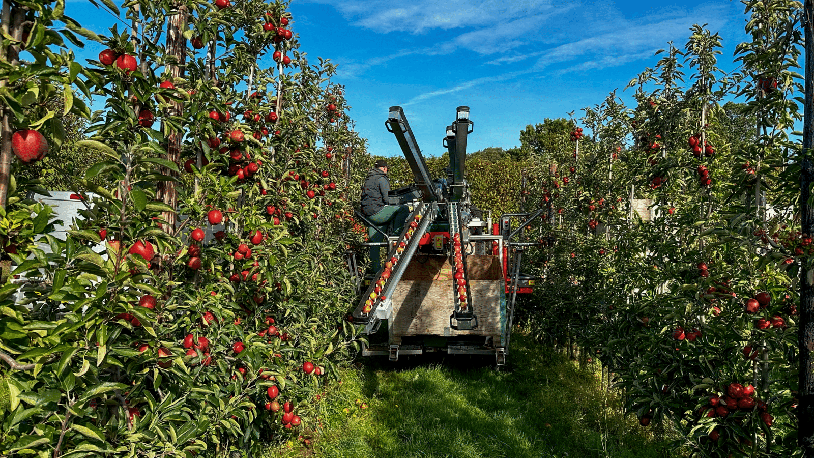 Research Funding Allows B-hive To Deliver Deeper Insights For Apple Growers